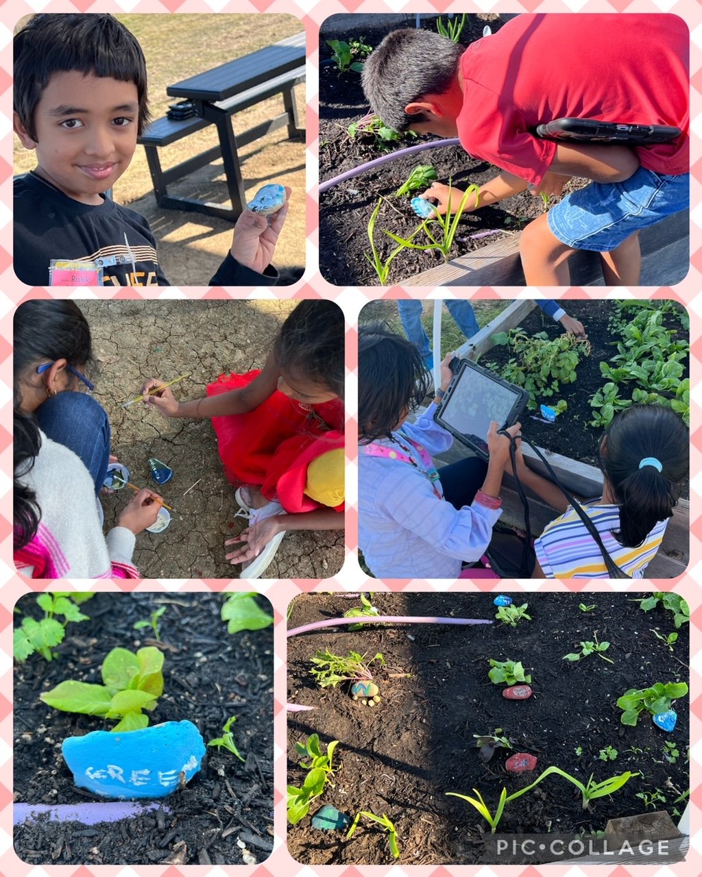 How To Connect Kids To The Plants Emotionally