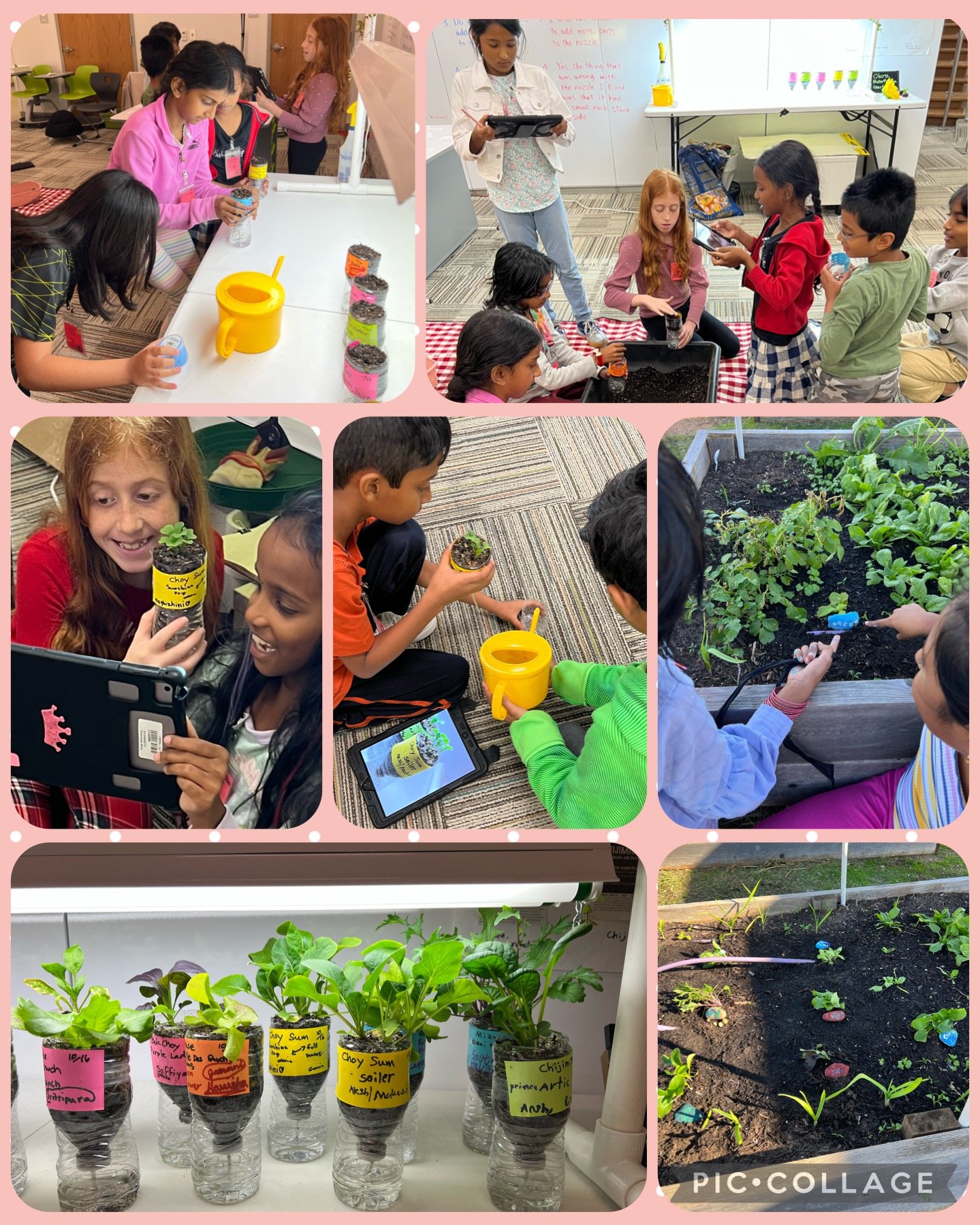How To Connect Kids To The Plants Emotionally