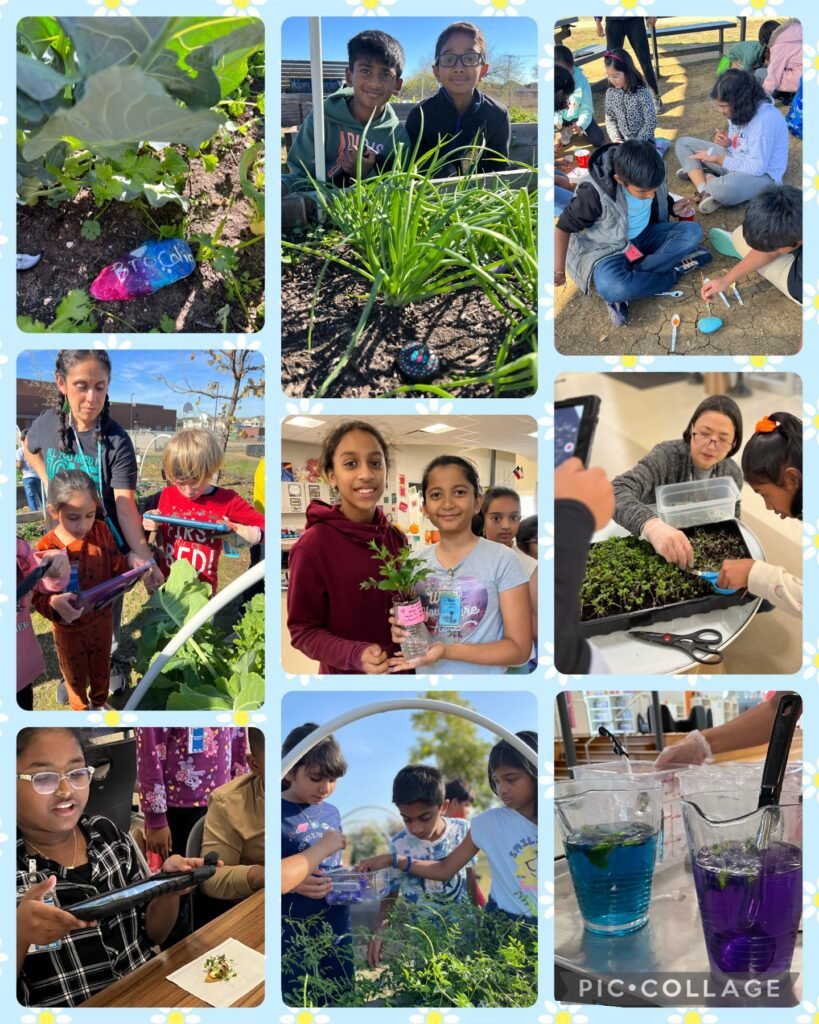 About Our School, Education Philosophy, & Ms. Keiko